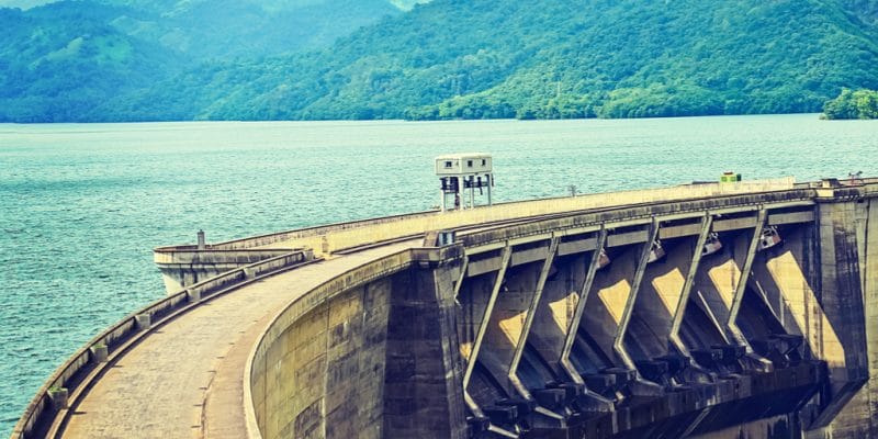 Concerned Citizens Write to Senate President on Mambilla Plateau ...